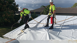 Marketplace | Professional Roofing