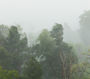 Understanding underlayment by Mark S. Graham 2023-05-01 | Professional ...